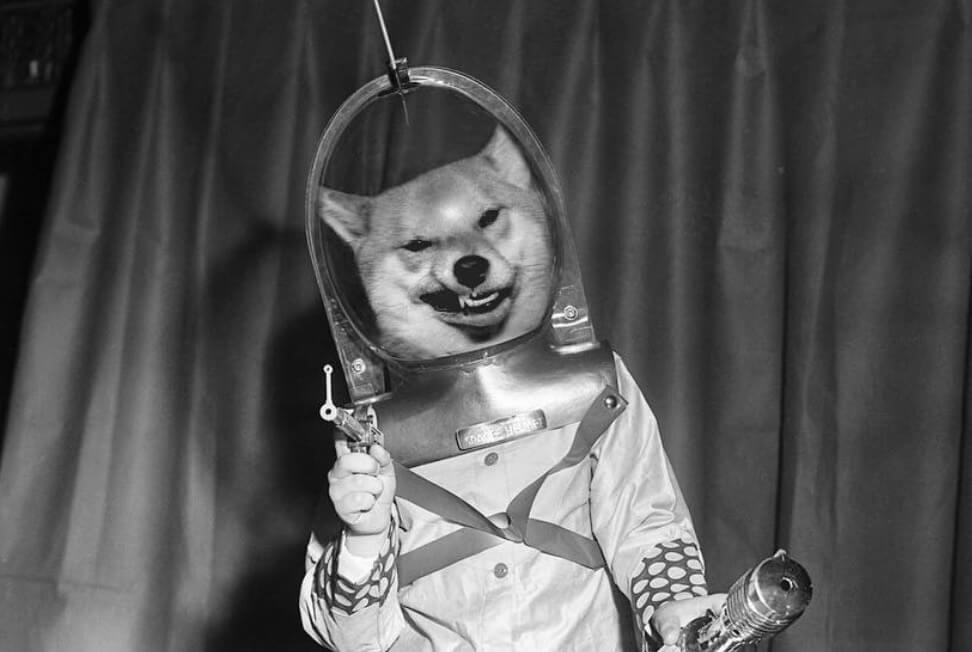 元ネタは!?柴犬Zeldaの謎多きコラージュ写真 | 柴犬ライフ [Shiba-Inu Life]